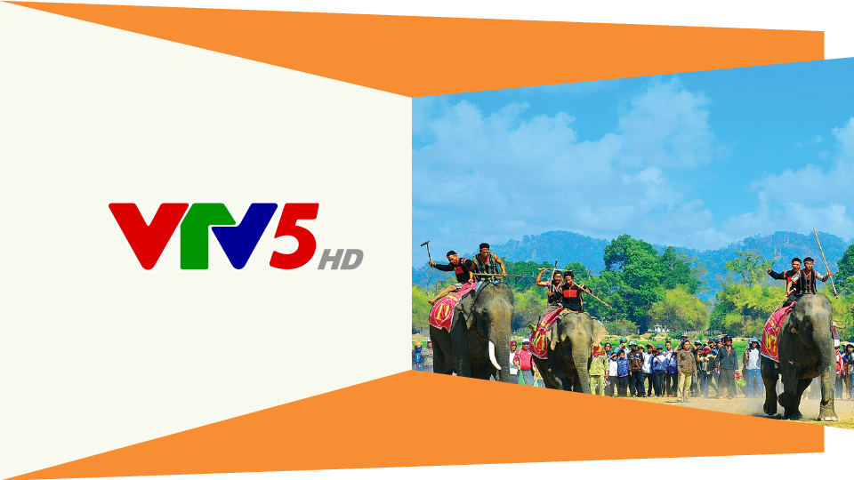 Xem truyền hình trực tuyến VTV5 Trực Olympic Tokyo online | VieON